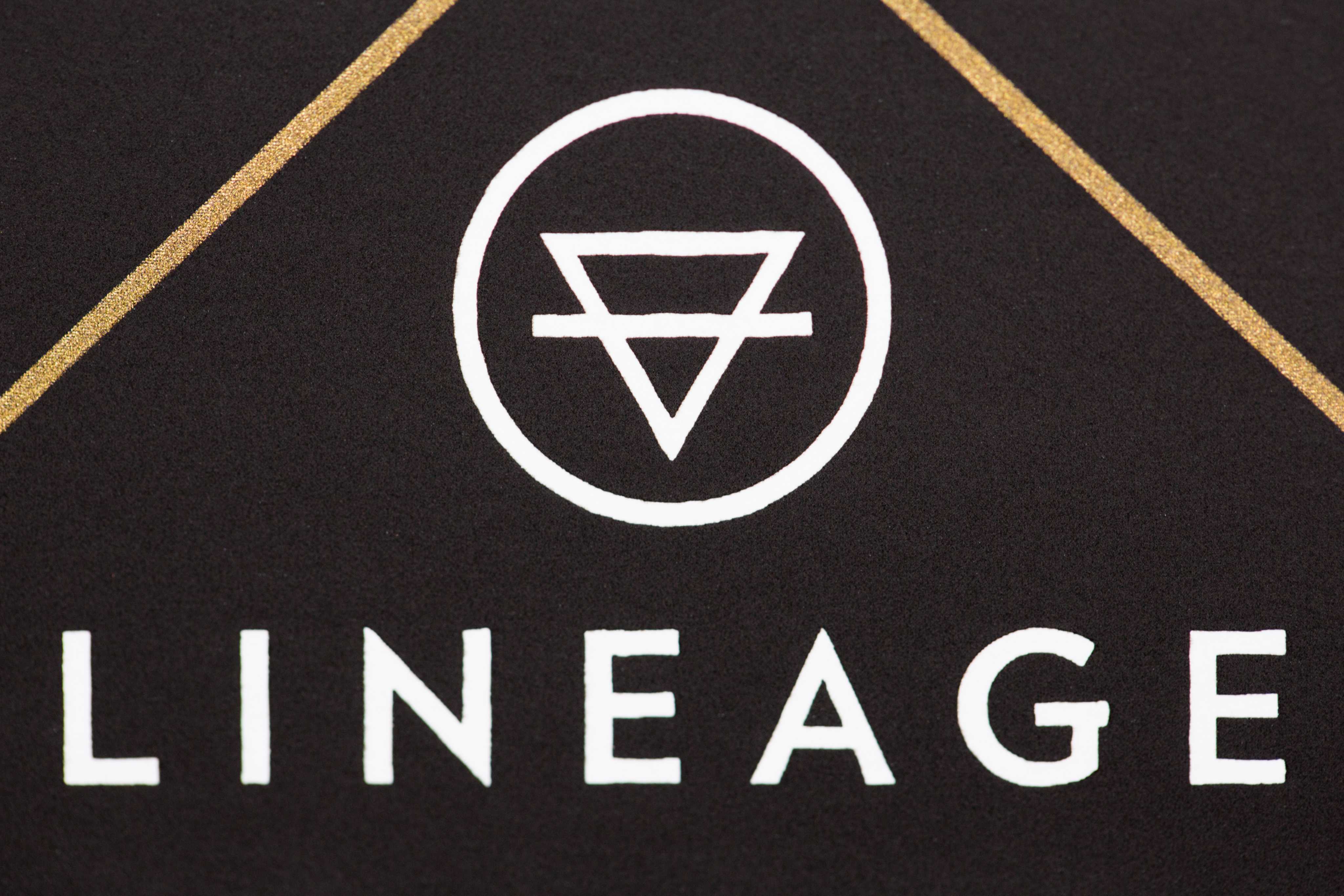 Lineage Cold Brew Labels • Mama’s Sauce