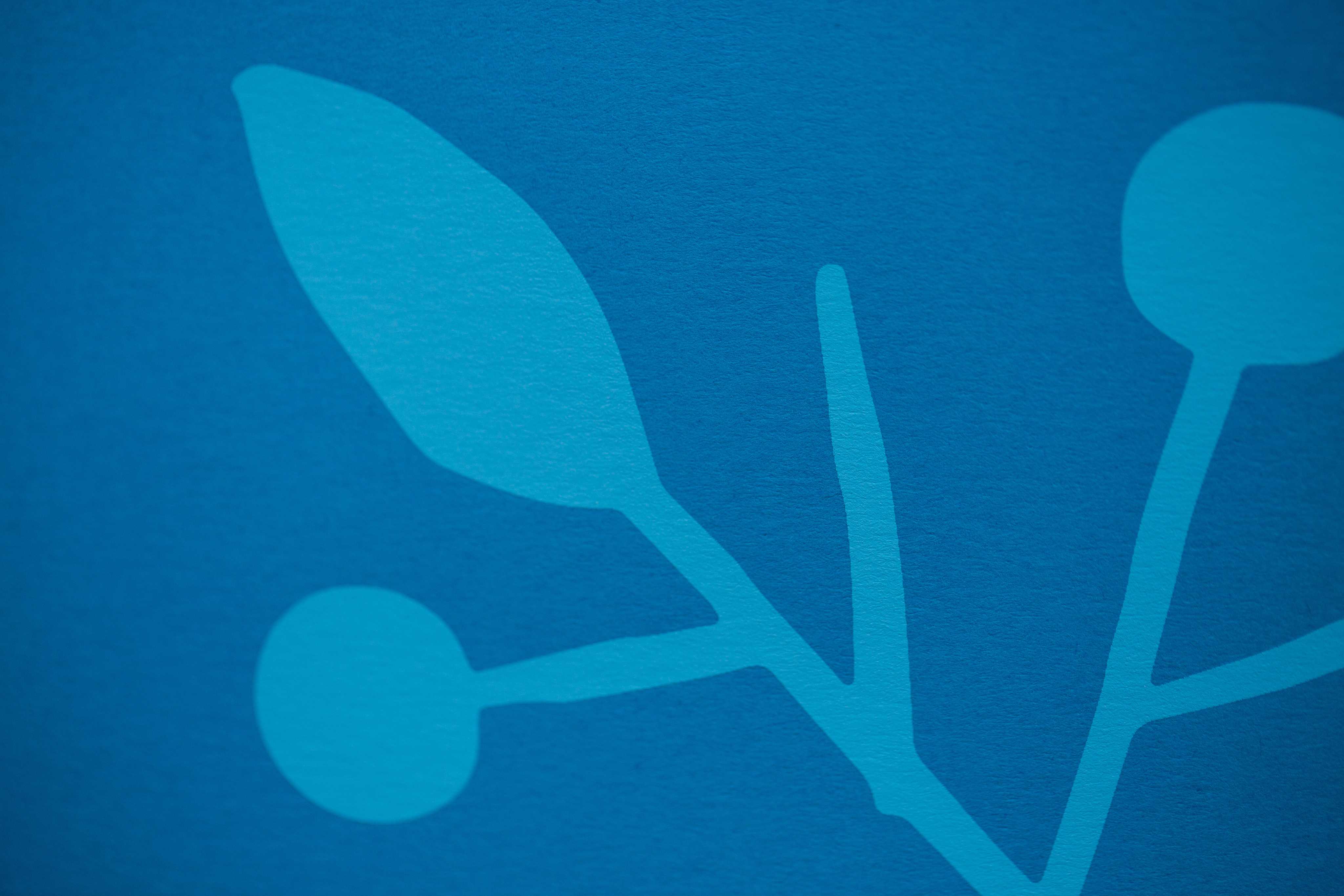 Facebook Analog Research Laboratory's Plant Poster • Mama’s Sauce