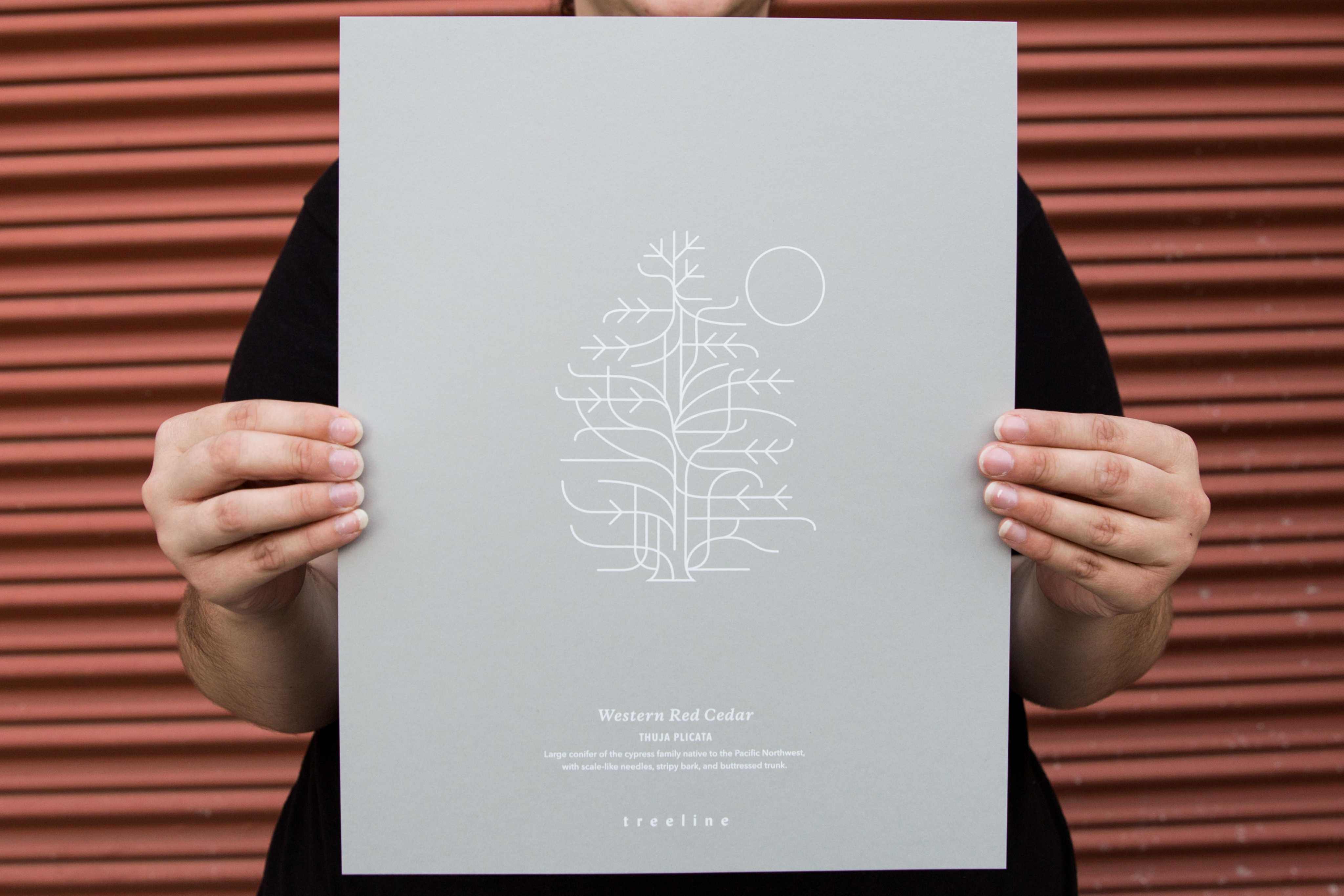 Patagonia's Treeline Film Art Print Series • Mama’s Sauce