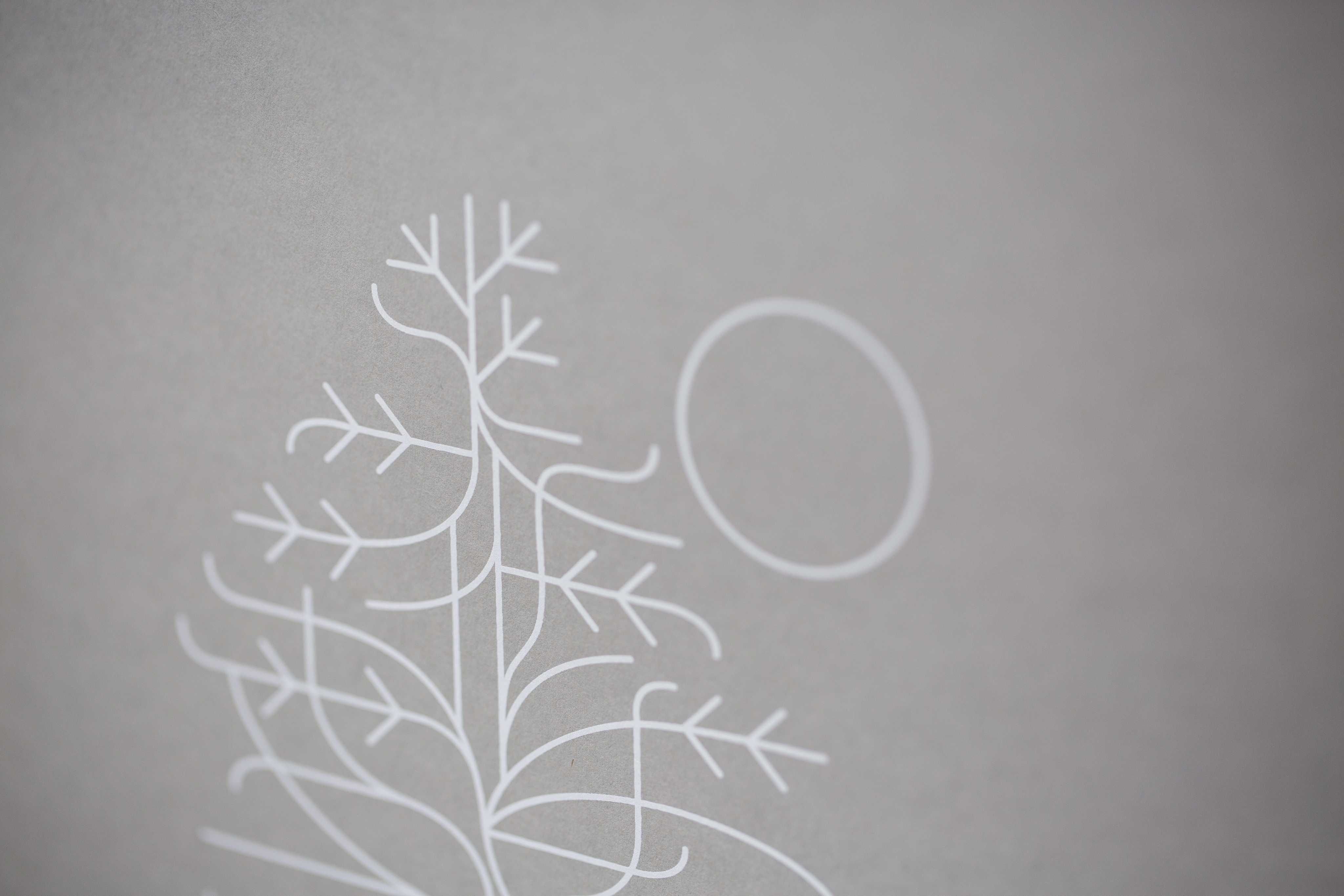 Patagonia's Treeline Film Art Print Series • Mama’s Sauce