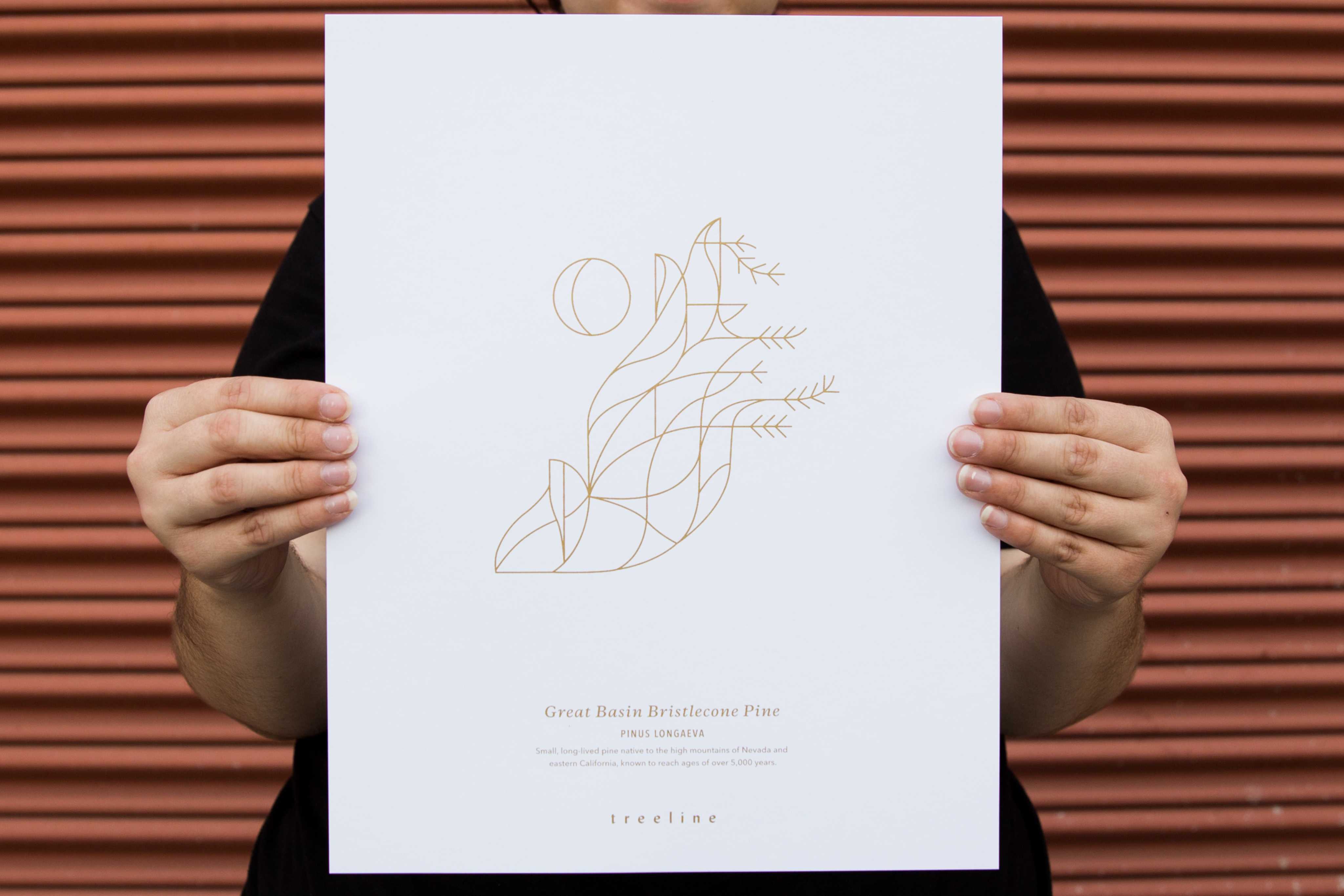 Patagonia's Treeline Film Art Print Series • Mama’s Sauce